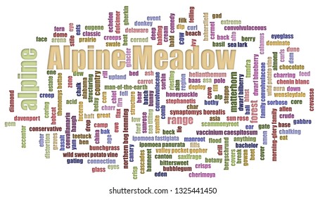 Alpine Meadow Word Cloud Randomised Isolated Stock Illustration ...