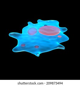 172 Division of amoeba Images, Stock Photos & Vectors | Shutterstock