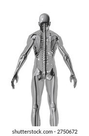 Ilustrasi Stok Anatomically Correct 3d Model Human Body 2750672 ...