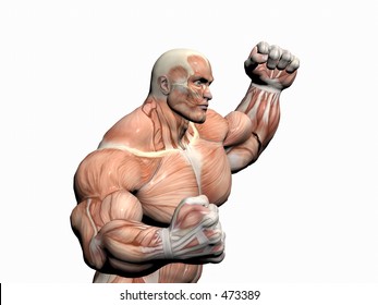 Anatomically Correct Medical Model Human Body 스톡 일러스트 473389 | Shutterstock