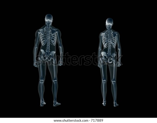 Anatomically Correct Xray Xray Human Male 库存插图 717889