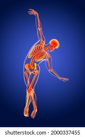 592 Ballet anatomy Images, Stock Photos & Vectors | Shutterstock
