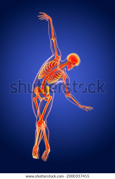 Anatomy Dancing Ballet 3d Illustration Man Stock Illustration ...