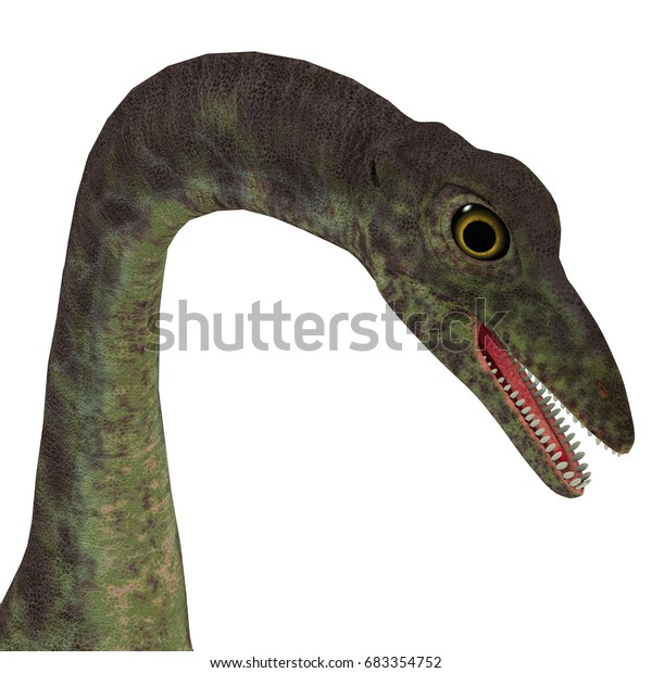 Anchisaurus Dinosaur Head 3d Illustration Anchisaurus Stock ... Anchisaurus Dinosaur Head 3d Illustration Anchisaurus Stock ...