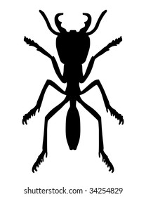 Gryllus Field Cricket Insects Silhouette Stock Vector (Royalty Free ...