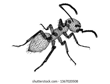 Ant Architect Blueprint 3d Renderings Stock Illustration 1371895349 ...
