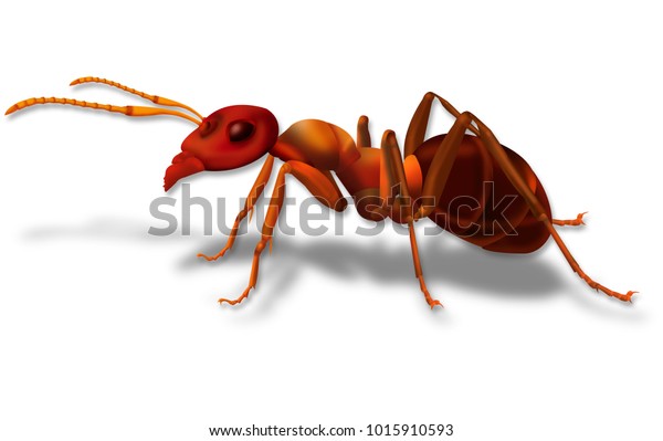 Ant Background All Stock Illustration 1015910593 | Shutterstock