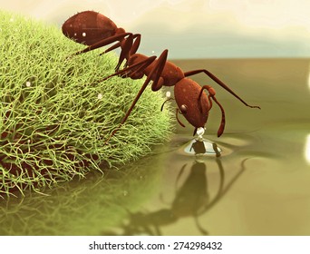 643 Ants Drink Water Images, Stock Photos & Vectors | Shutterstock