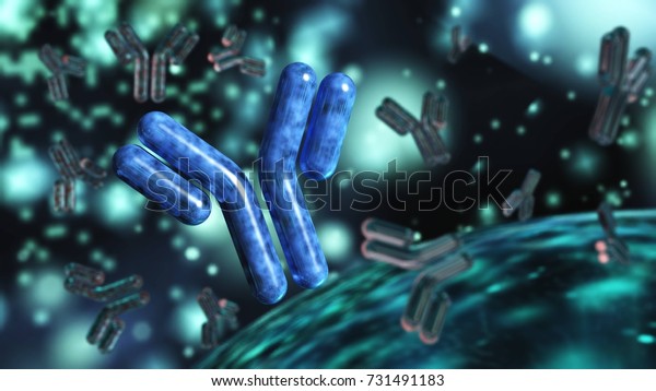 anticuerpos, inmunoglobulinas, renderizado 3d