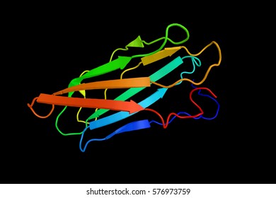 1 Ap1g2 Images, Stock Photos & Vectors | Shutterstock