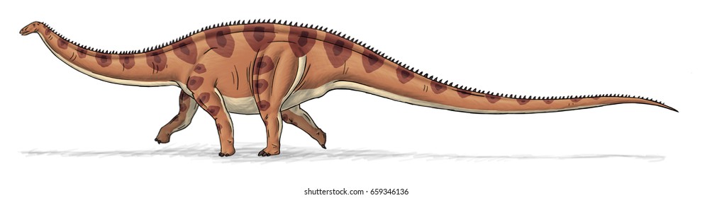 Stock Photo and Image Portfolio by Blue Coral Learning | Shutterstock