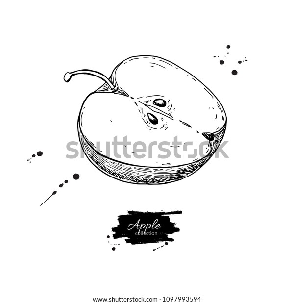 Apple Slice Drawing Hand Drawn Isolated: ภาพประกอบสต็อก 1097993594 ...