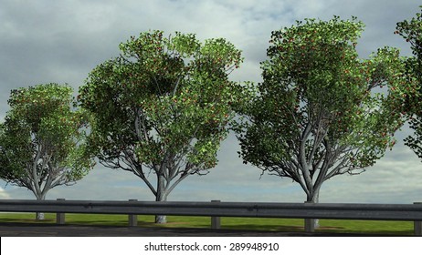 73,038 Trees on the roadside Images, Stock Photos & Vectors | Shutterstock