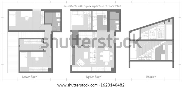 Architectural Duplex Apartment Floor Plans Section Stock Illustration ...