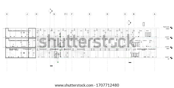 Architectural Wireframe Sectional Elevation Bim Design Stock ...