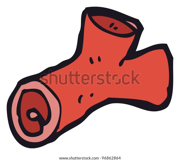 Artery Cartoon Stock Illustration 96862864
