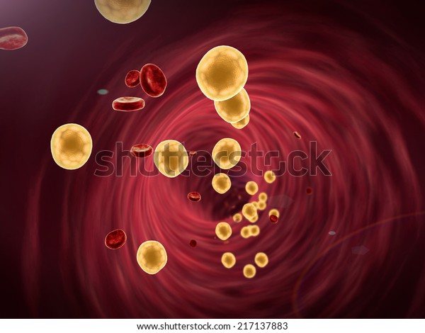 Artery Shown Cut Out Section Blood Stock Illustration 217137883 ...