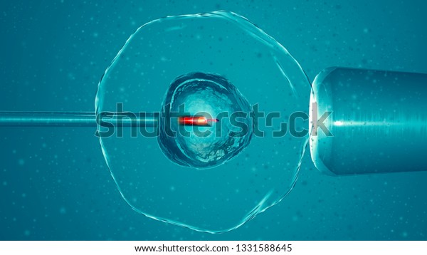Artificial Assisted Fertilization Process By Which Stock Illustration ...