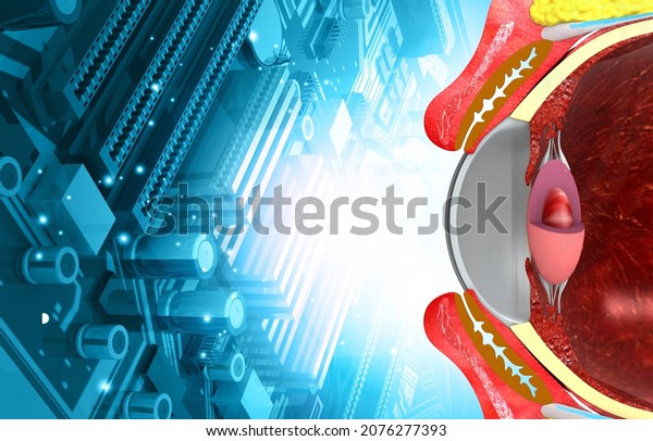 Artificial Vision Concept Chip Human Eye Stock Illustration 2076277393 ...