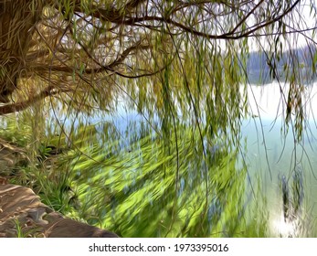308 Tree branch with leaves hanging over water surface Images, Stock ...