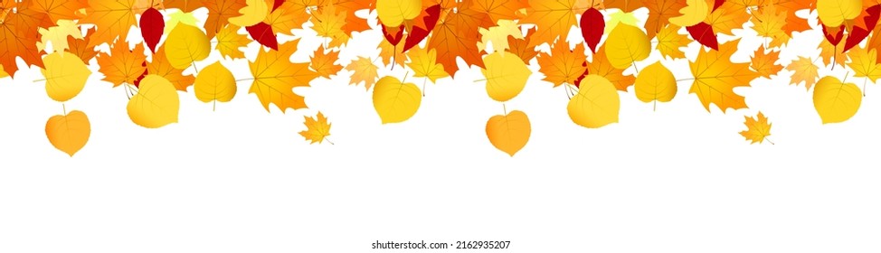Autumn Header Overlay Falling Maple Leaves Stock Illustration ...