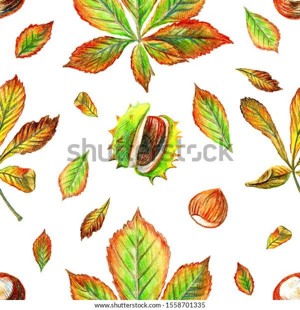Autumn Seamless Pattern Chestnuts Design Packaging Stock Illustration ...
