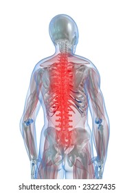 5,715 3d man back pain Images, Stock Photos & Vectors | Shutterstock