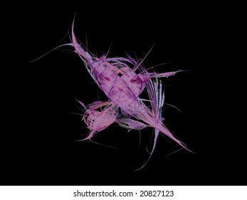 Cockroach Xray Vision Wireframe 3d Model Stock Illustration 1384090670 ...