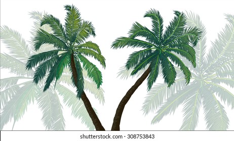 Background Palms Stock Illustration 308753843 | Shutterstock