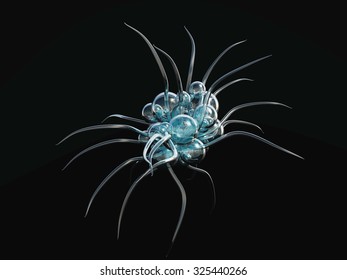 Vector Illustration Singlecelled Eukaryote Choanozoa Protozoa Stock ...