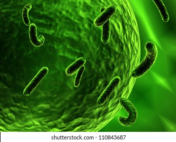 1,511 Human skin immune system Images, Stock Photos & Vectors ...