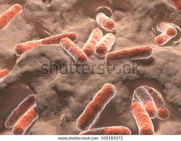 Bacteria Bacilli Stock Illustration 100183373