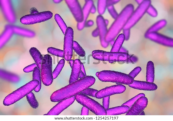 Bacteria Citrobacter Gramnegative Coliform Bacteria Enterobacteriaceae ...