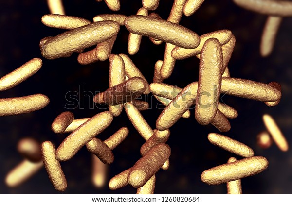 Bacteria Citrobacter Gramnegative Coliform Bacteria Enterobacteriaceae ...