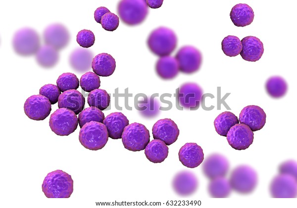 Bacteria Enterococcus Isolated On White Background Stock Illustration ...