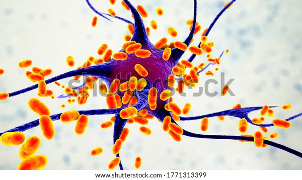 Bacteria Infecting Neuron Brain Cell 3d Stock Illustration 1771313399 ...