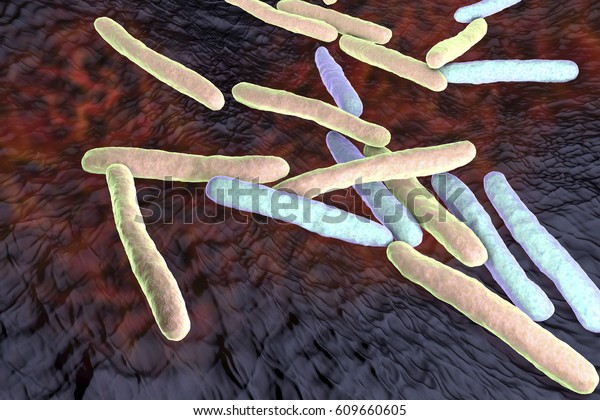 Bacteria Mycobacterium Tuberculosis Causative Agent Tuberculosis Stock ...