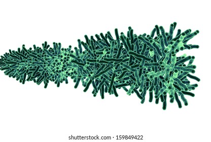 Bacteria White Background Stock Illustration 159849422 | Shutterstock