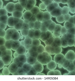 Bacteria Cell Organisms Under Microscope: ภาพประกอบสต็อก 521802901 ...