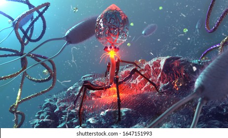 Bacteriophage 3d Render Background Stock Illustration 1647151993 ...