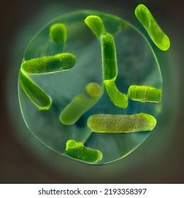 Bacterium Under Microscope Bacterial Colony Stock Illustration ...