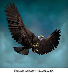 1,972 Eagle claw close up Images, Stock Photos & Vectors | Shutterstock