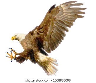 Bald Eagle Landing Attack Hand Draw Stock Illustration 1008983098