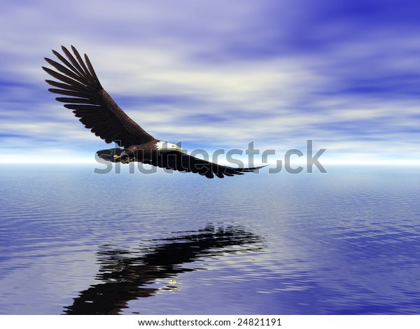 Bald Eagle Over Water Stock Illustration 24821191