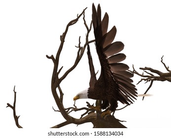 272 Bald eagle in tree Stock Illustrations, Images & Vectors | Shutterstock