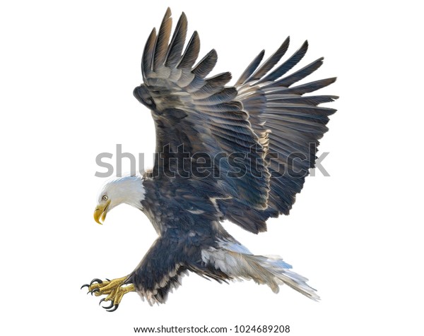Bald Eagle Swoop Attack Hand Draw Stock Illustration 1024689208 ...
