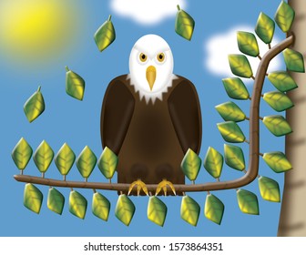 272 Bald eagle in tree Stock Illustrations, Images & Vectors | Shutterstock
