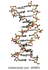 Ball Stick Rendering Dna Double Helix Stock Illustration 899891