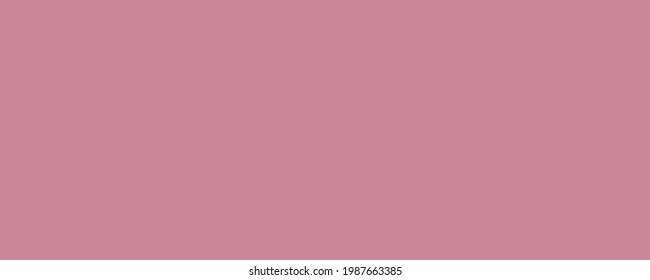 Banner Puce Solid Color Background Plain Stock Illustration 1987663385 ...