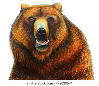 1,984 Alaska bear drawing Images, Stock Photos & Vectors | Shutterstock